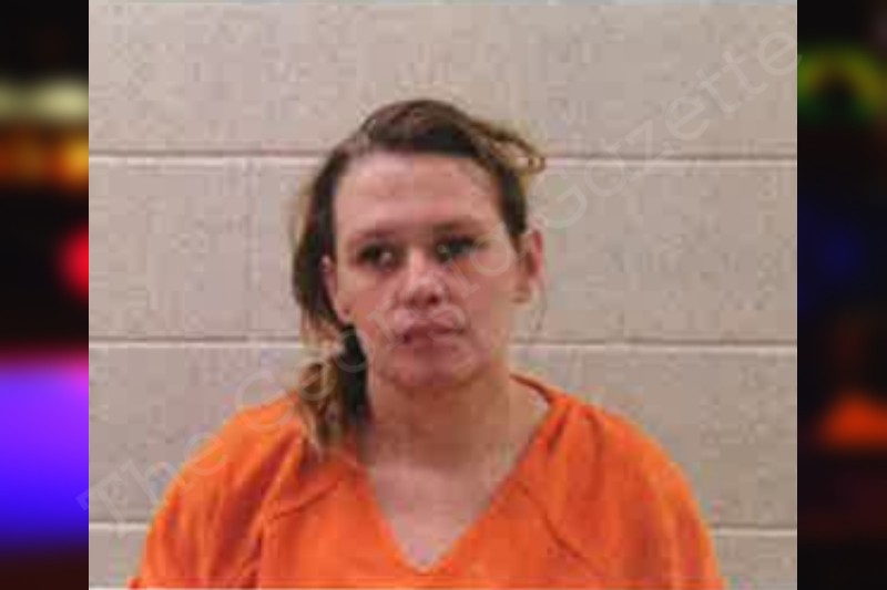 Amanda Long — Pickens County Jail Bookings