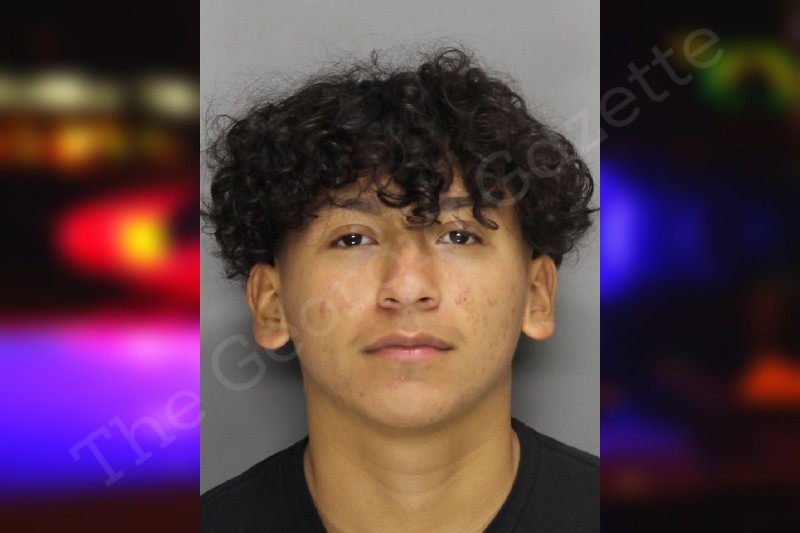 Jonathan Mejia — Cobb County Jail Bookings