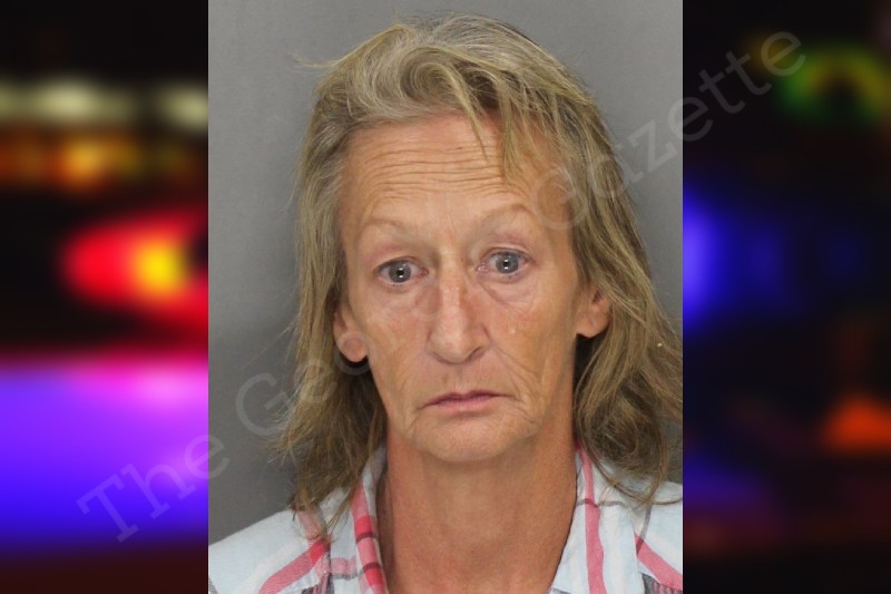 Melissa Merrill — Cobb County Jail Bookings