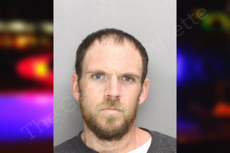 Michael Metzger | Cobb County