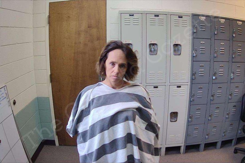Amanda Mixell — Evans County Jail Bookings