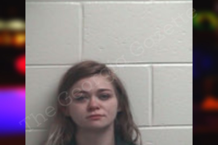 Hannah Morrison — Henry County Jail Bookings
