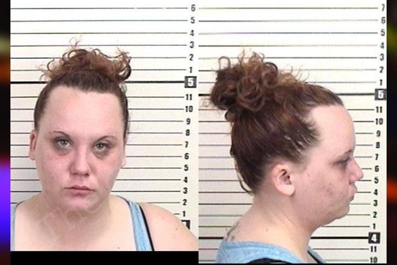 Amber Meadows — Camden County Jail Bookings