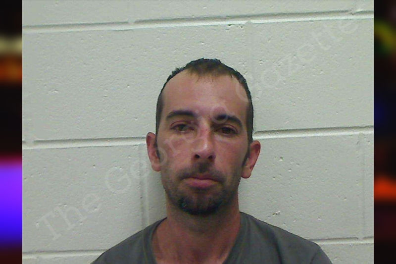 Ryan Miller — Bulloch County Jail Bookings