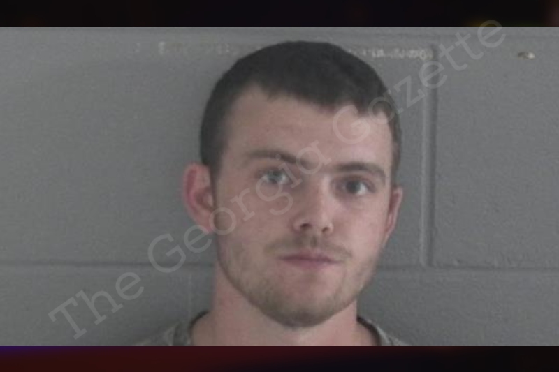Joshua Mullis — Brantley County Jail Bookings