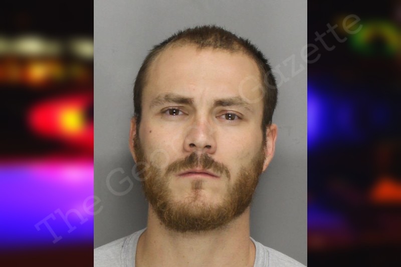 Matthew Nelson — Cobb County Jail Bookings