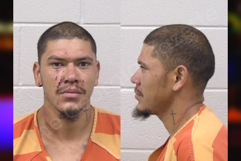 Eduardo Negrete — Paulding County Jail Bookings
