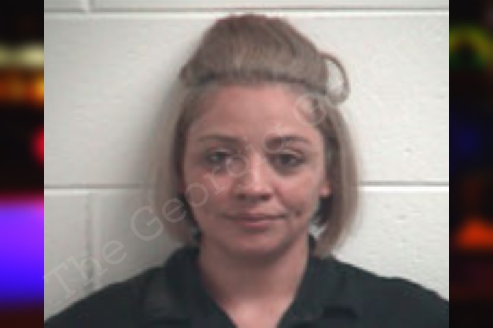 Anisha Ortiz — Henry County Jail Bookings