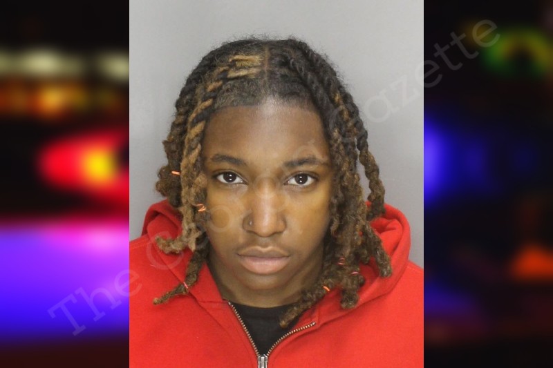 Indya Patterson — Cobb County Jail Bookings