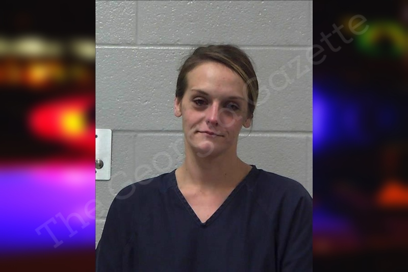 Candice Pierce — Gilmer County Jail Bookings