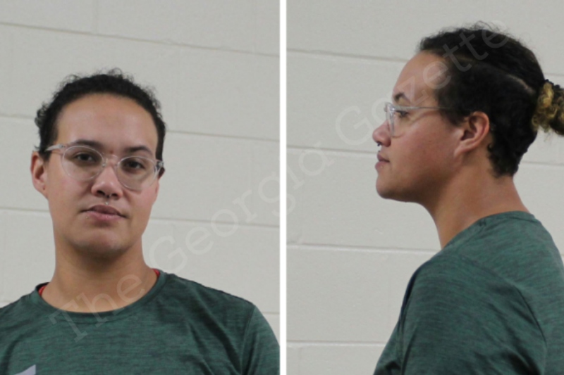 Rachel Pitts — Houston County Jail Bookings