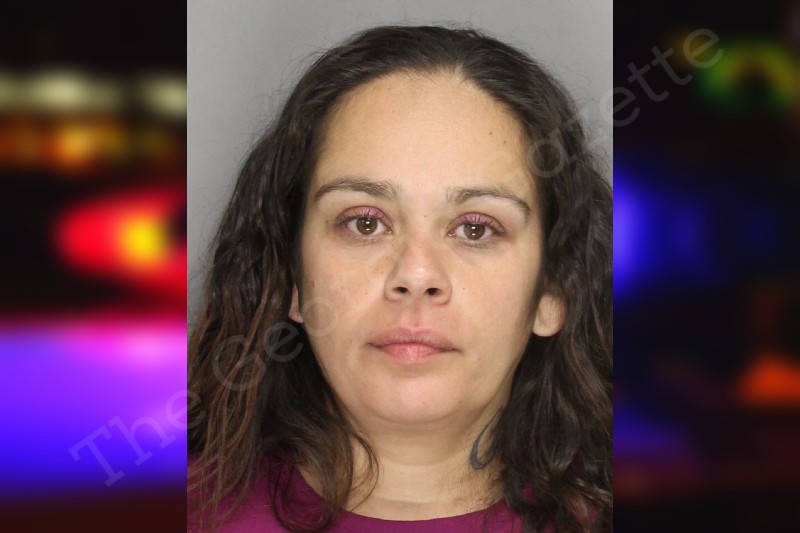 Jennifer Reyes — Cobb County Jail Bookings