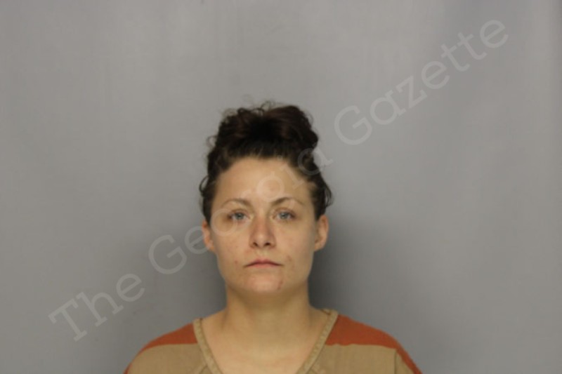Danielle Riddle — Hall County Jail Bookings