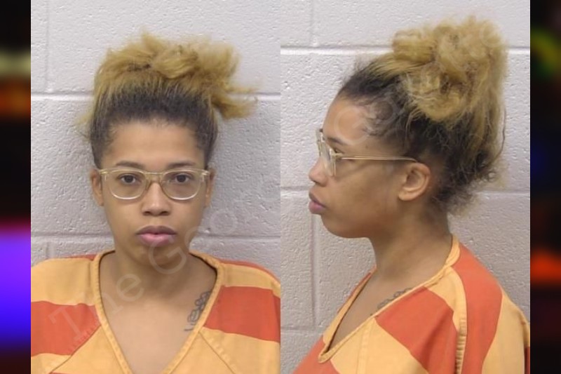 Brianne Reed — Paulding County Jail Bookings