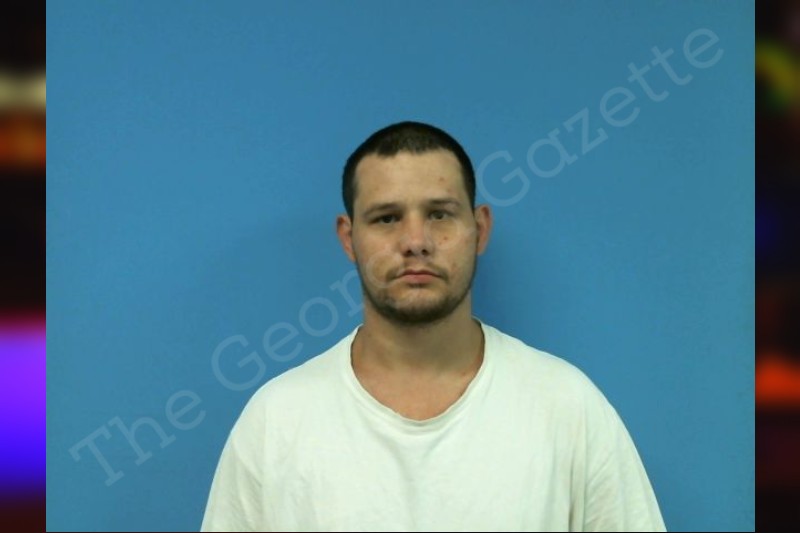Austin Rice — Troup County Jail Bookings