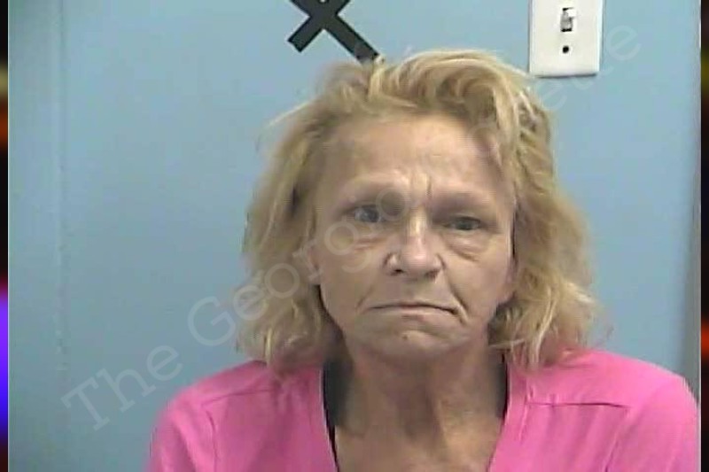 Sandra Ritter — Dawson County Jail Bookings
