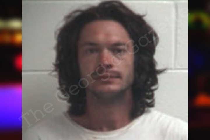 Chesley Shelnutt — Henry County
