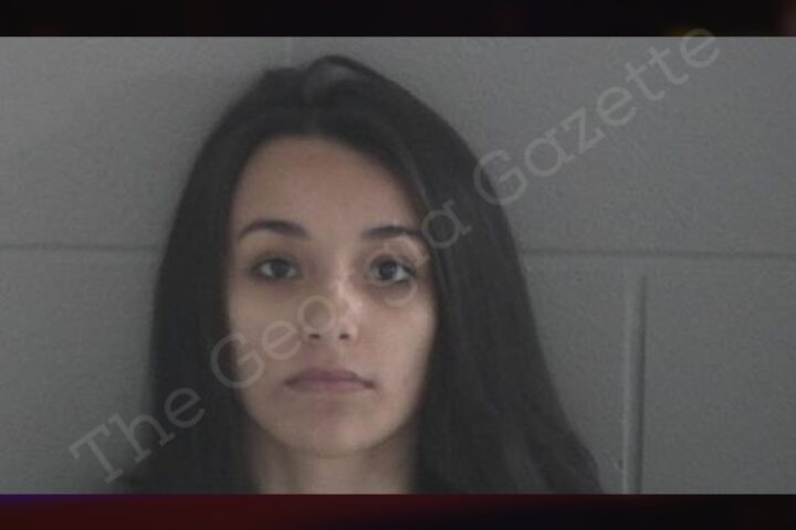 Liliana Sanchez — Brantley County Jail Bookings