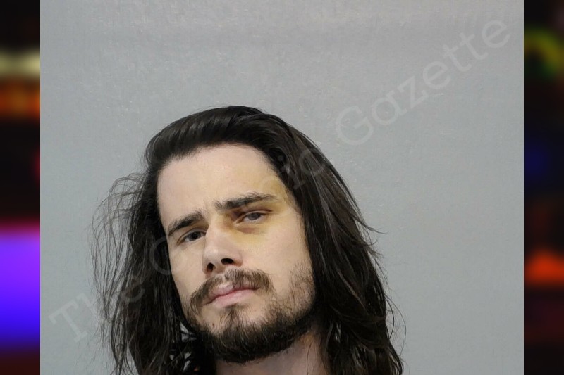 Seth Walsh — Bibb County Jail Bookings