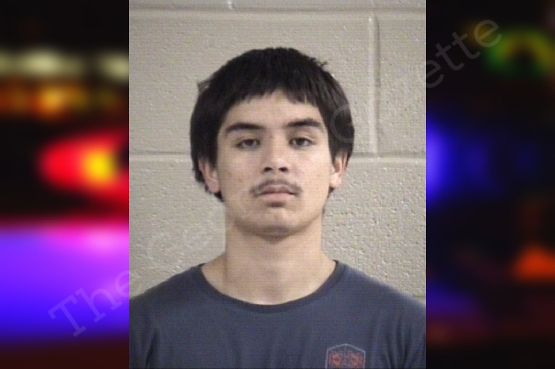 Alan Shoemaker — Whitfield County Jail Bookings Alan Shoemaker — Whitfield County Jail Bookings