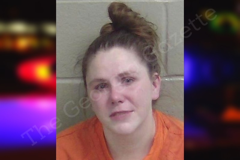 Ashley Smith — Wayne County Jail Bookings