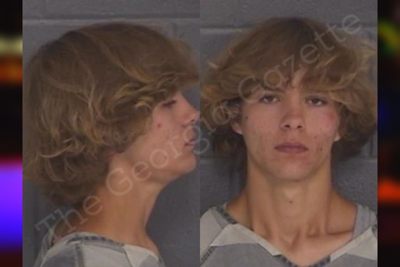 Dillon Smith — Barrow County Jail Bookings