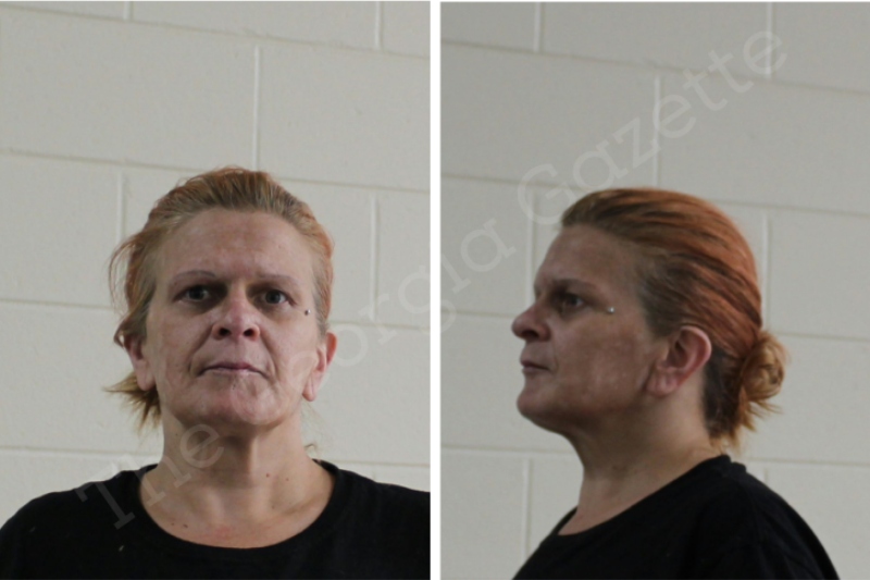 Jamie Stefanski — Houston County Jail Bookings