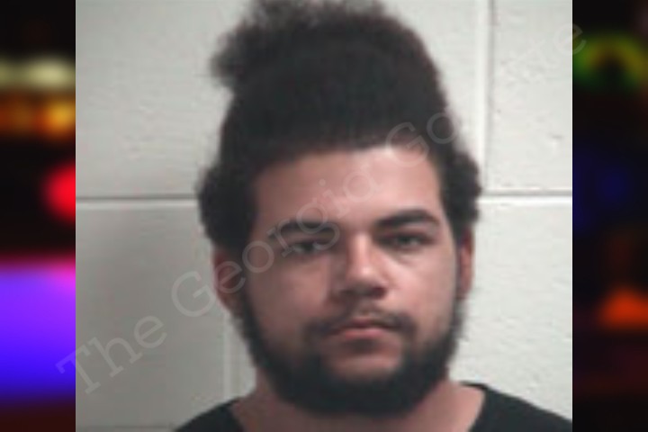 Dylan Steward — Henry County Jail Bookings