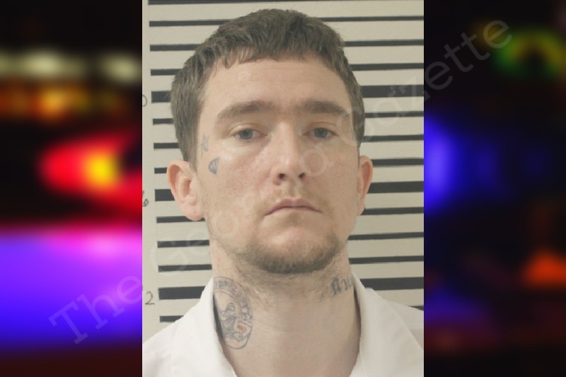 Preston Thornton — Toombs County Jail Bookings