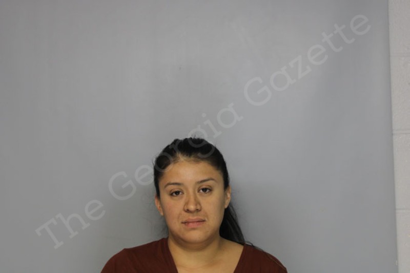 Elizabeth Trejo — Hall County Jail Bookings