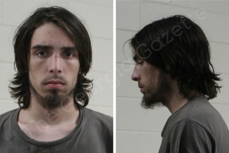 Michael Vest — Houston County Jail Bookings