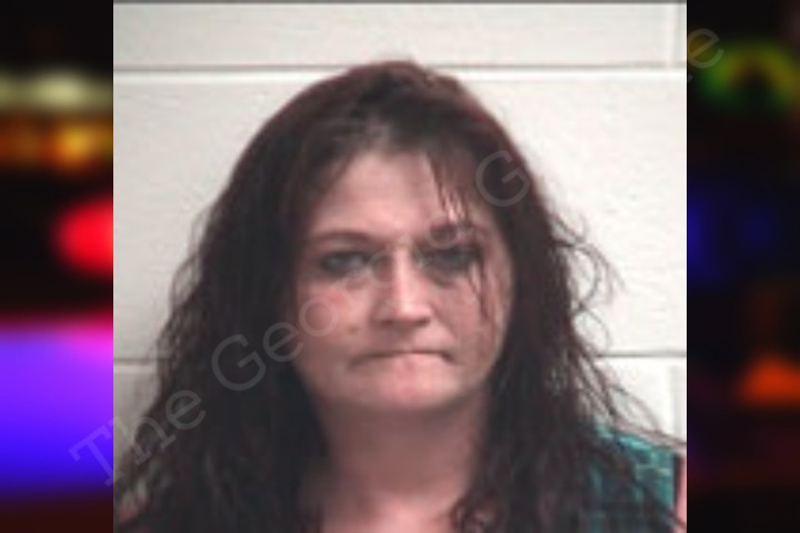Jennifer Ware — Henry County Jail Bookings