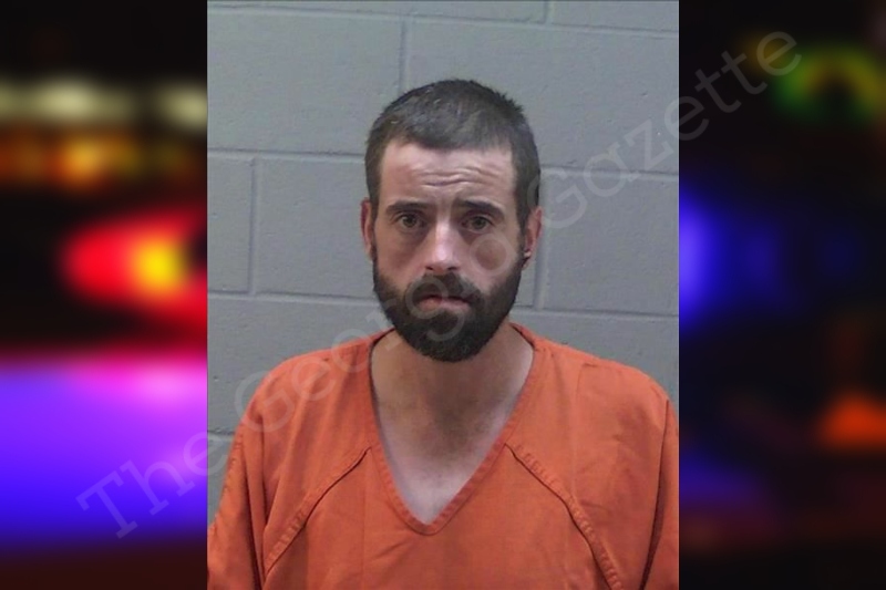 Tracy Waldron — Madison County Jail Bookings