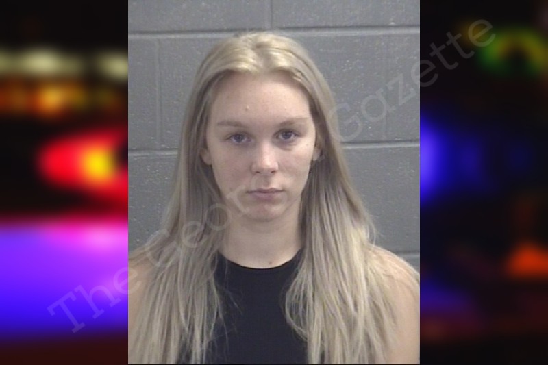 Stephanie Way — Spalding County Jail Bookings