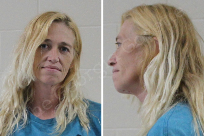 Candis Weeks — Houston County Jail Bookings