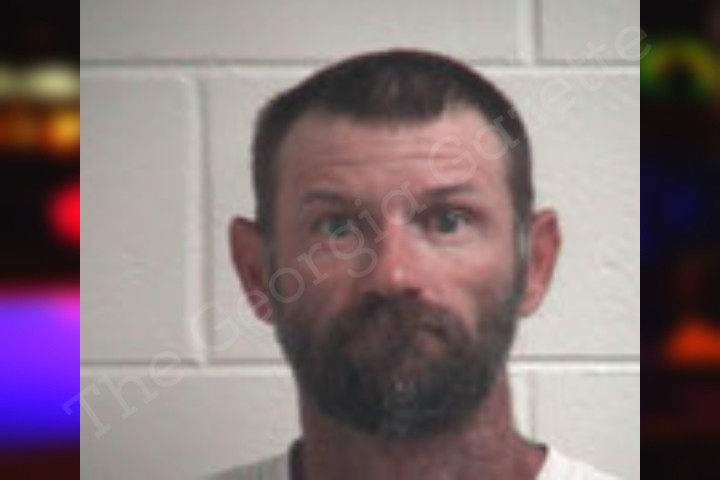 Ricky Wheeler — Henry County Jail Bookings