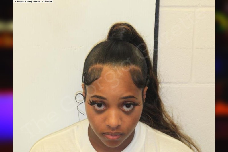 Jamila Williams — Chatham County Jail Bookings
