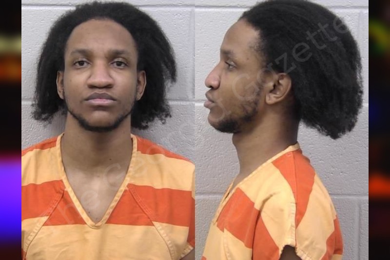 Peter Wilson — Paulding County Jail Bookings