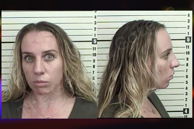 Alexis Woods — Camden County Jail Bookings