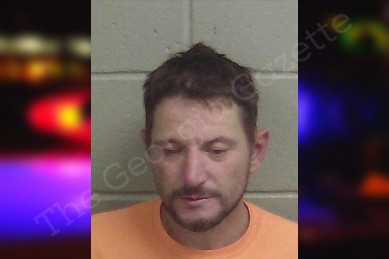 Tony Young — Wayne County Jail Bookings