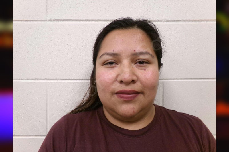 Erika Angeles-Garcia — Bulloch County Jail Bookings
