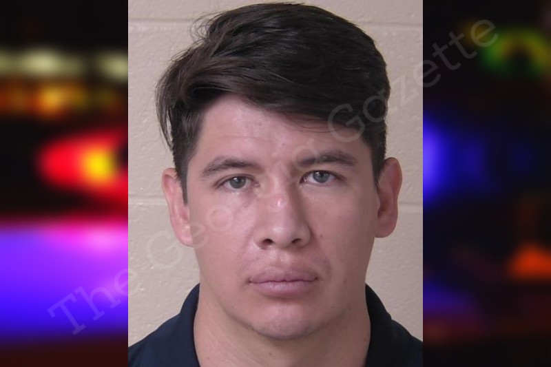 Eric Alanis — Walker County Jail Bookings