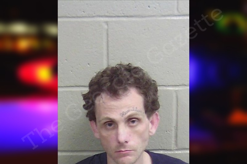 Jason Austin — Wayne County Jail Bookings