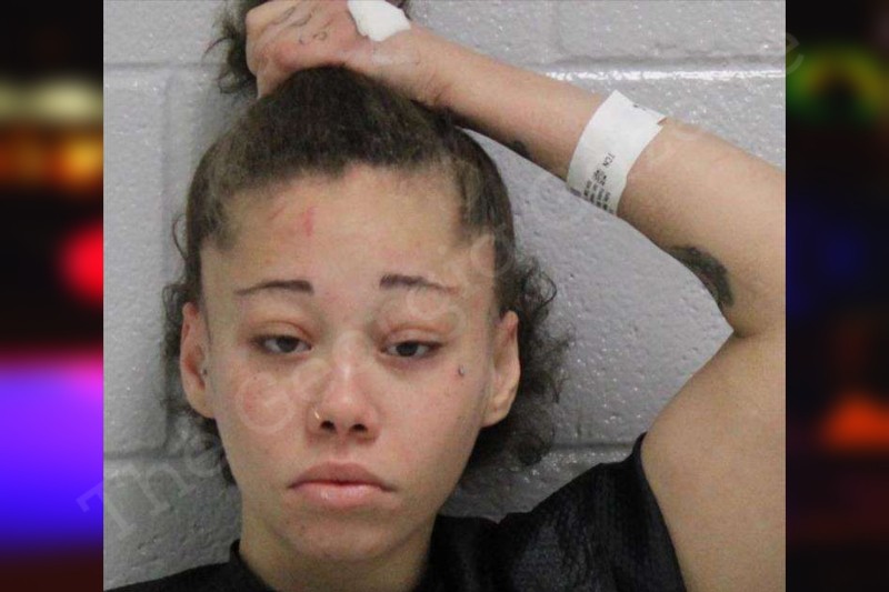 Whitney Bailey — Carroll County Jail Bookings