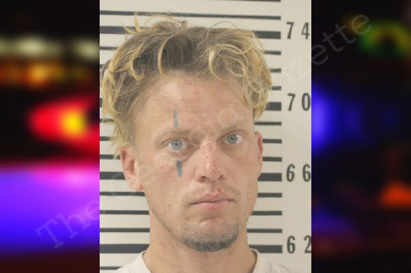 Leon Bush — Toombs County Jail Bookings