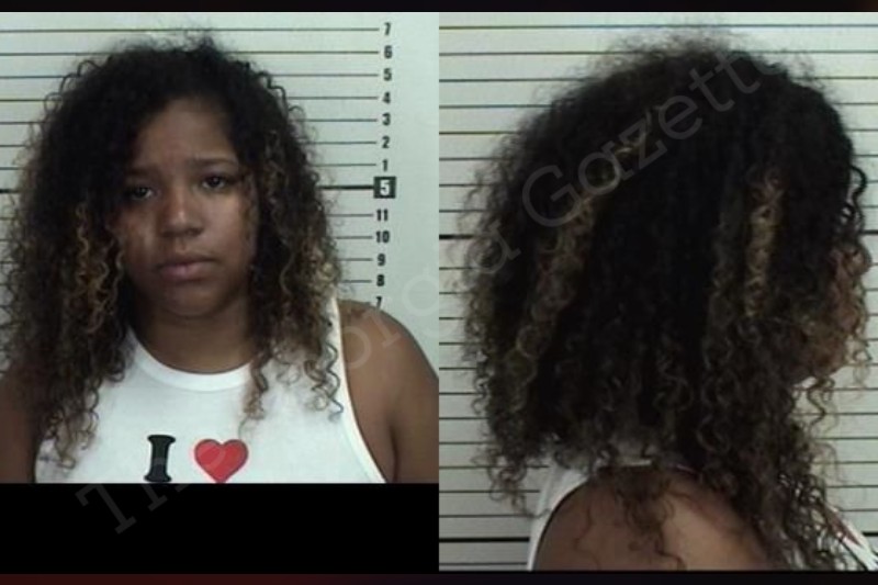 Alizae Brown — Camden County Jail Bookings
