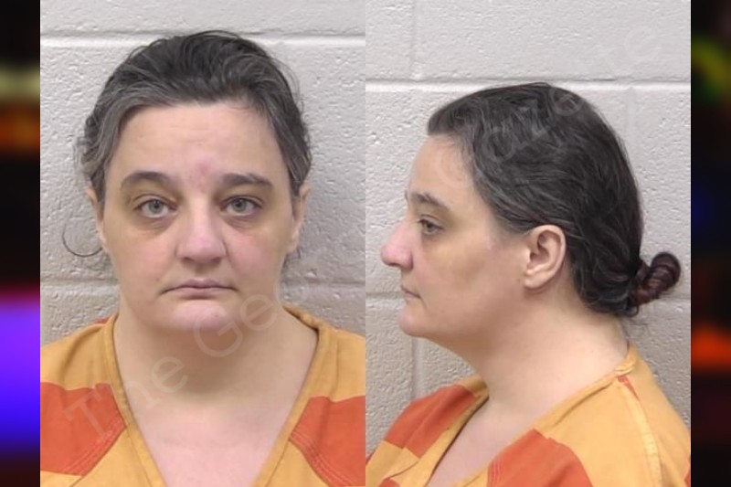 Lisa Buffington — Paulding County Jail Bookings