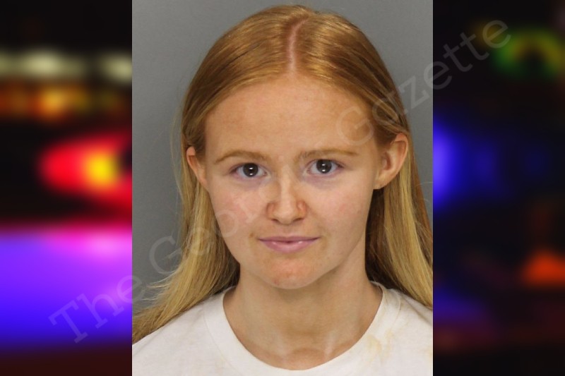 Macy Clements — Cobb County Jail Bookings