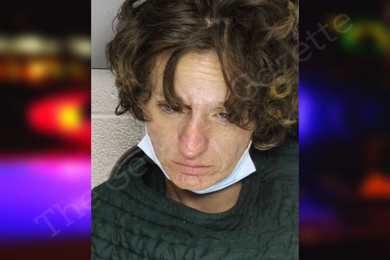 Arlene Cook — Cobb County Jail Bookings