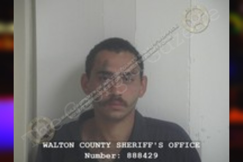Austin Coyle — Walton County Jail Bookings